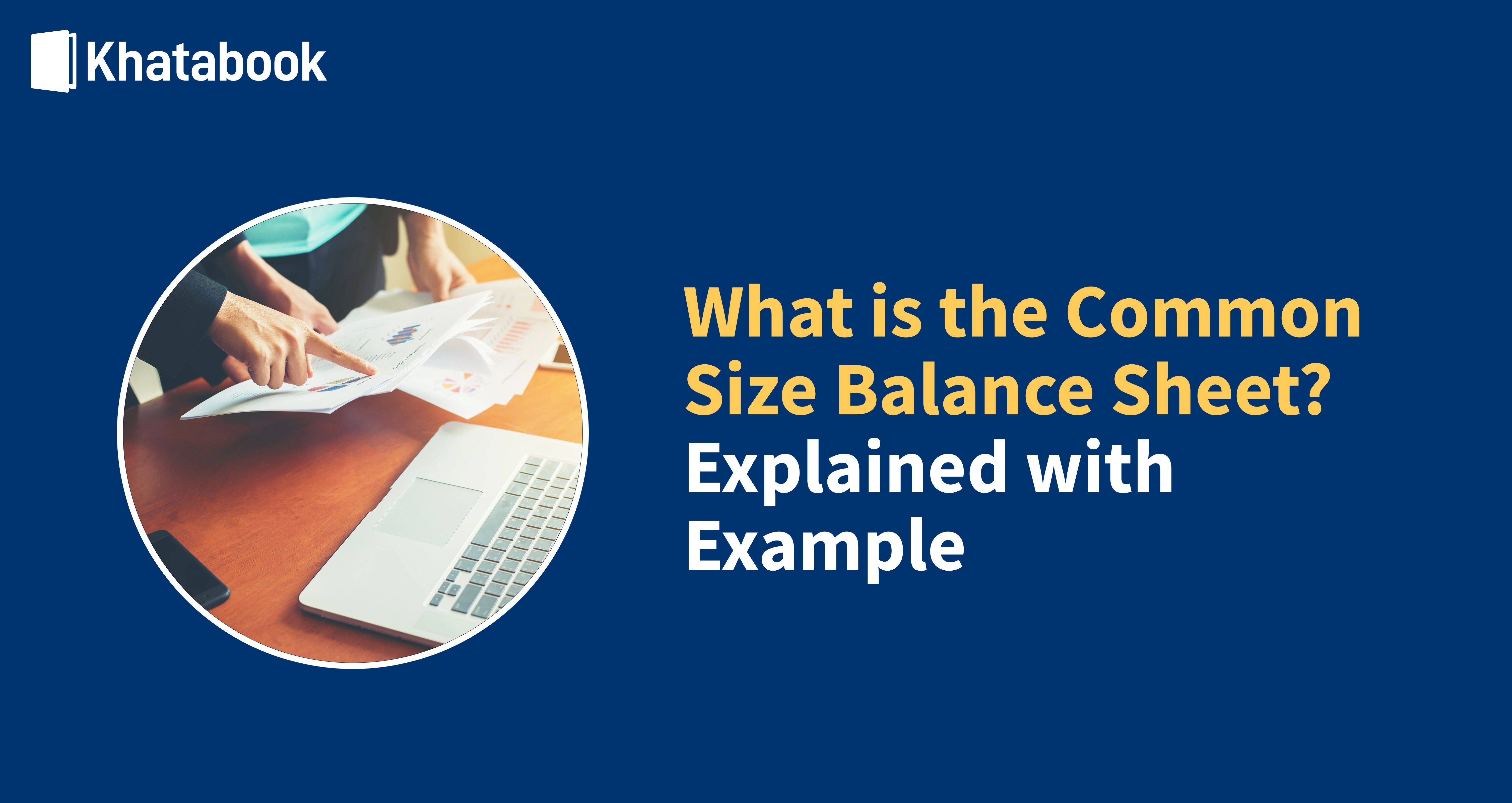 Learn About Common Size Balance Sheet Its Format Analysis With Example