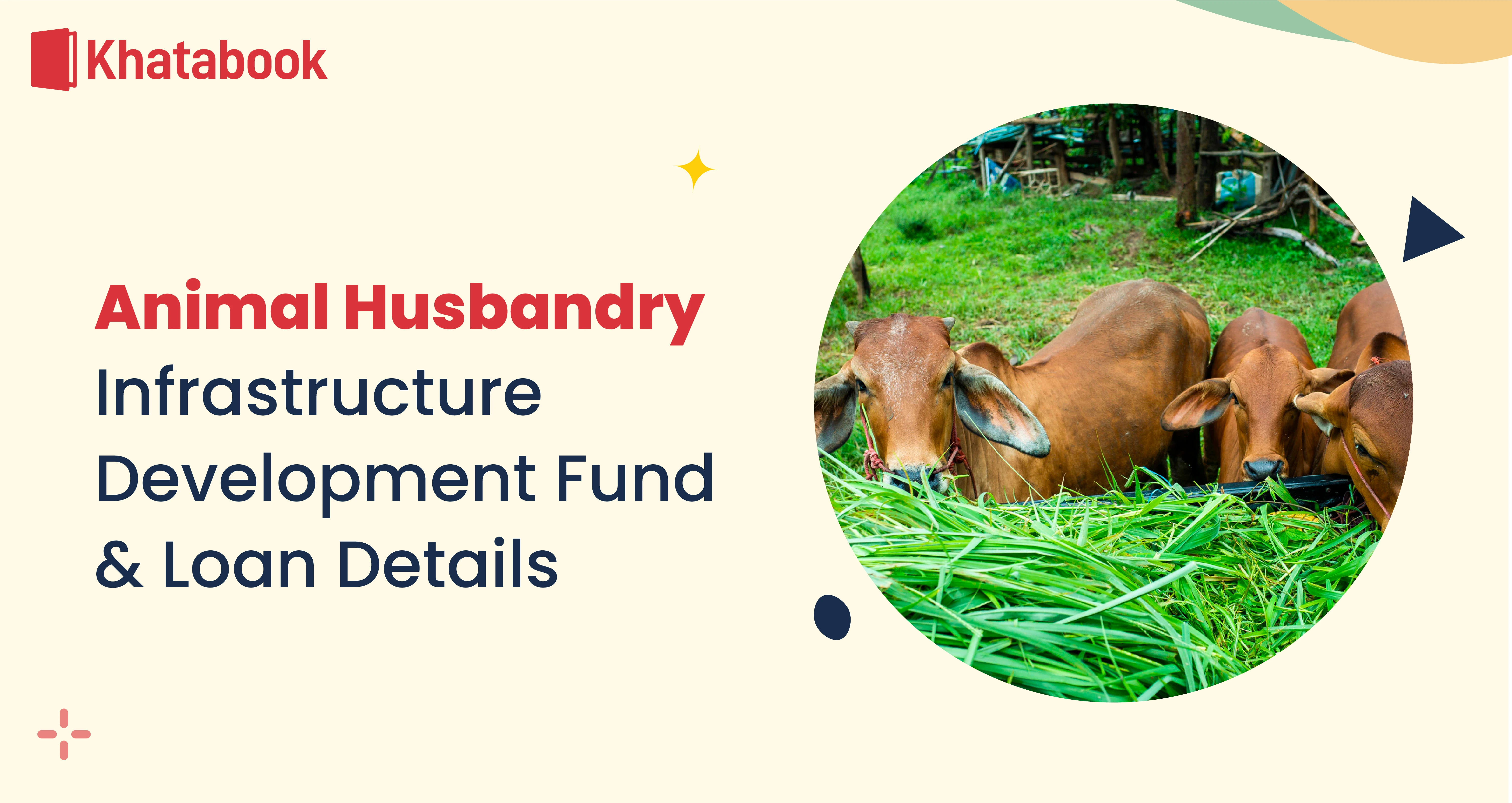 Animal Husbandry Infrastructure Development Fund Loan Details